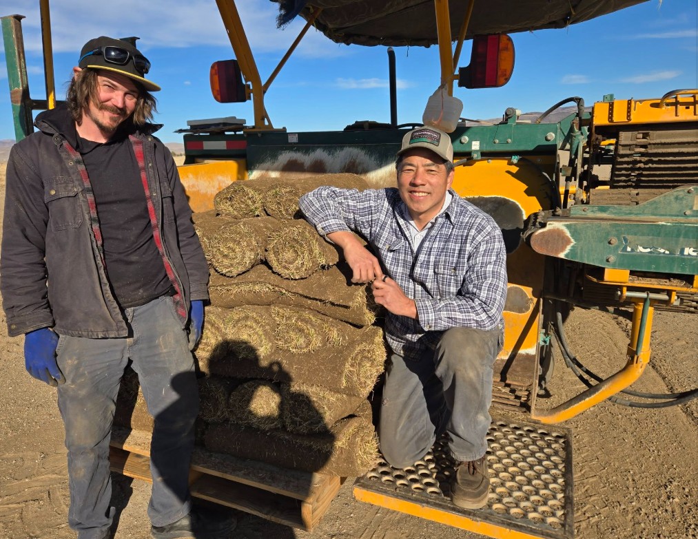 Say Hello to the Sod Squad: Your Turf's New Best Friend - Dayton Valley ...