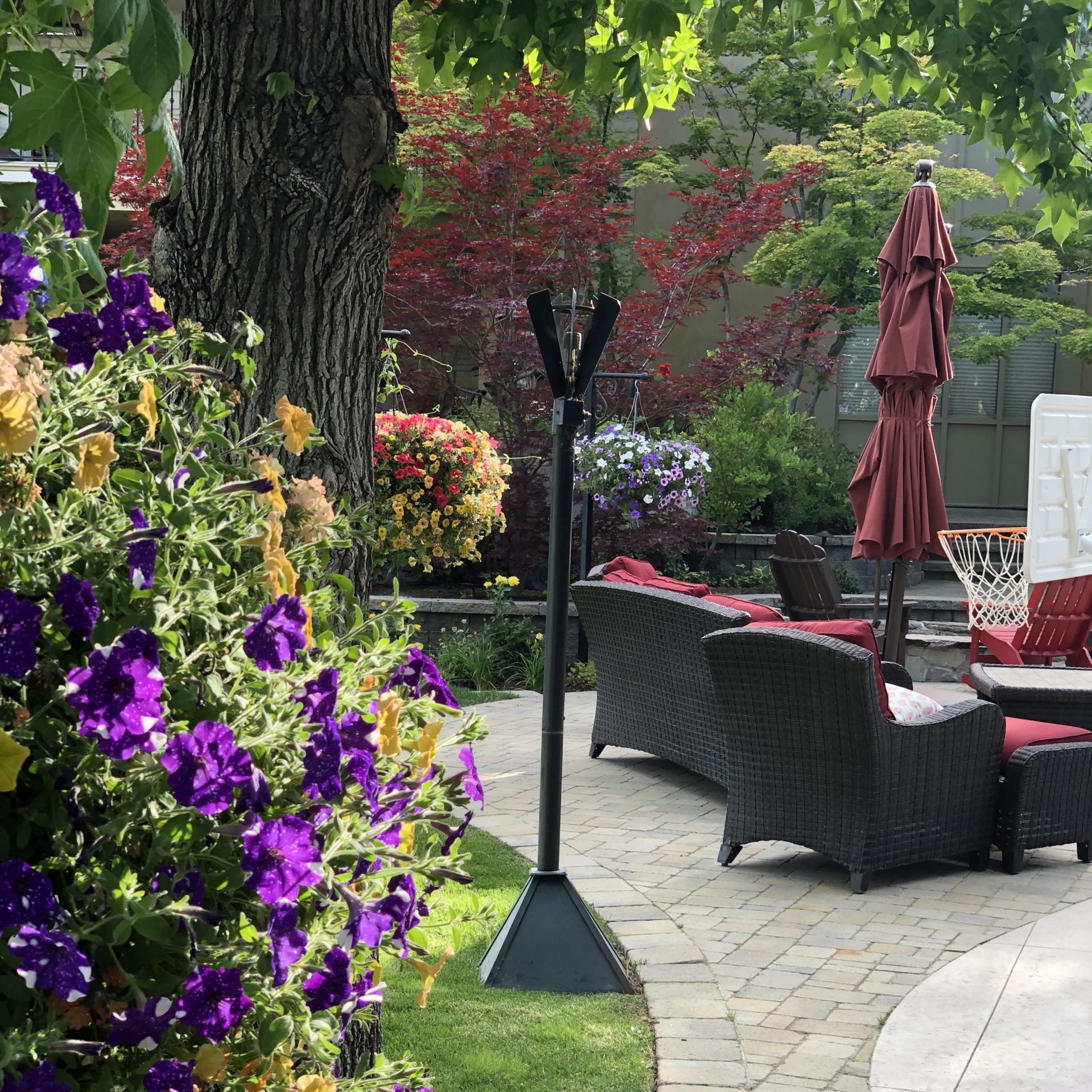 Introducing our Horticultural Stewardship Program - Dayton Valley Turf